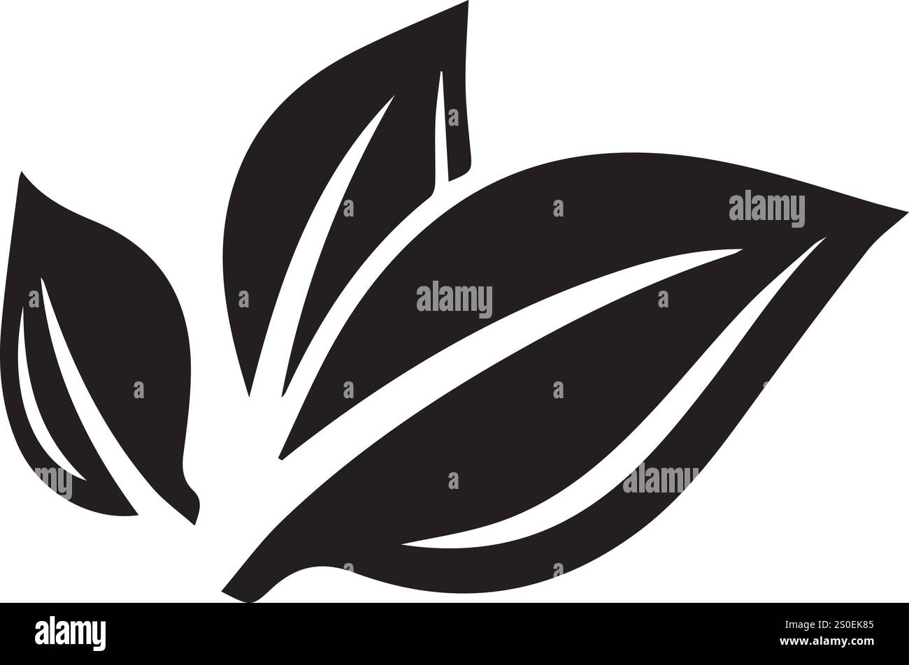 vector flower and leaf designs Stock Vector Image & Art - Alamy