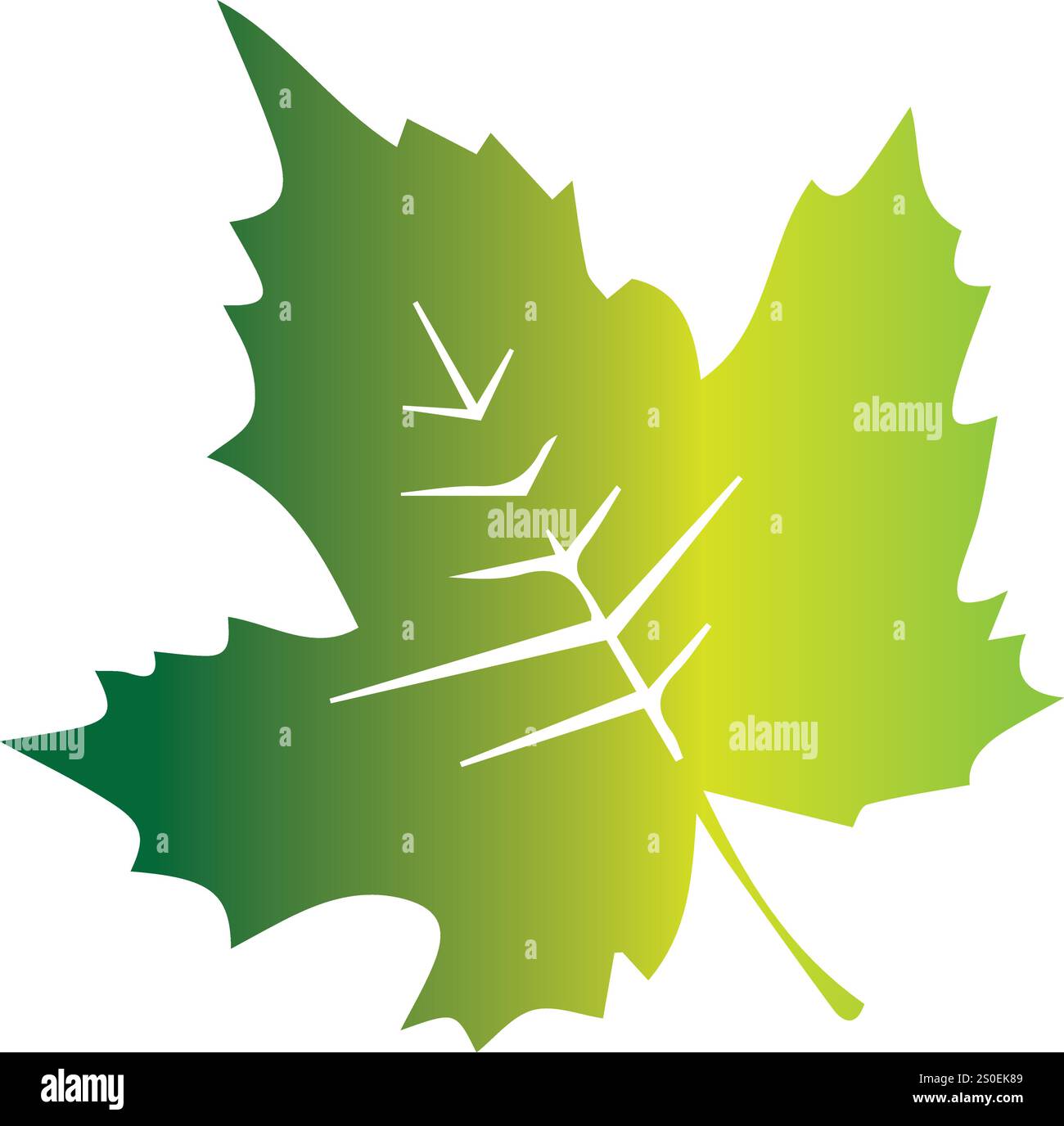 vector flower and leaf designs Stock Vector Image & Art - Alamy