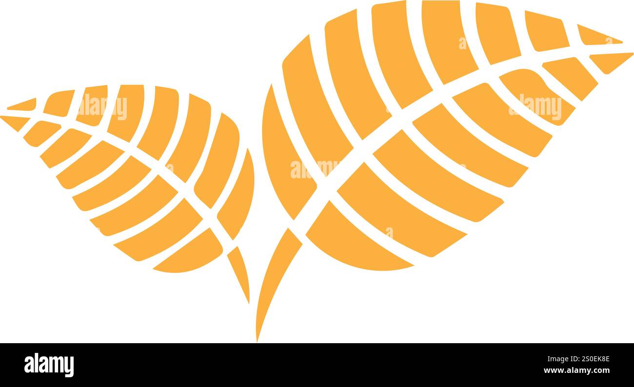 vector flower and leaf designs Stock Vector Image & Art - Alamy