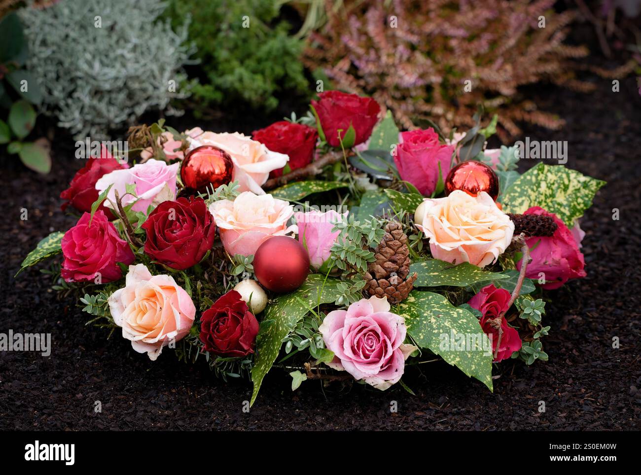 winter grave arrangement with pink and red roses, christmas tree ...