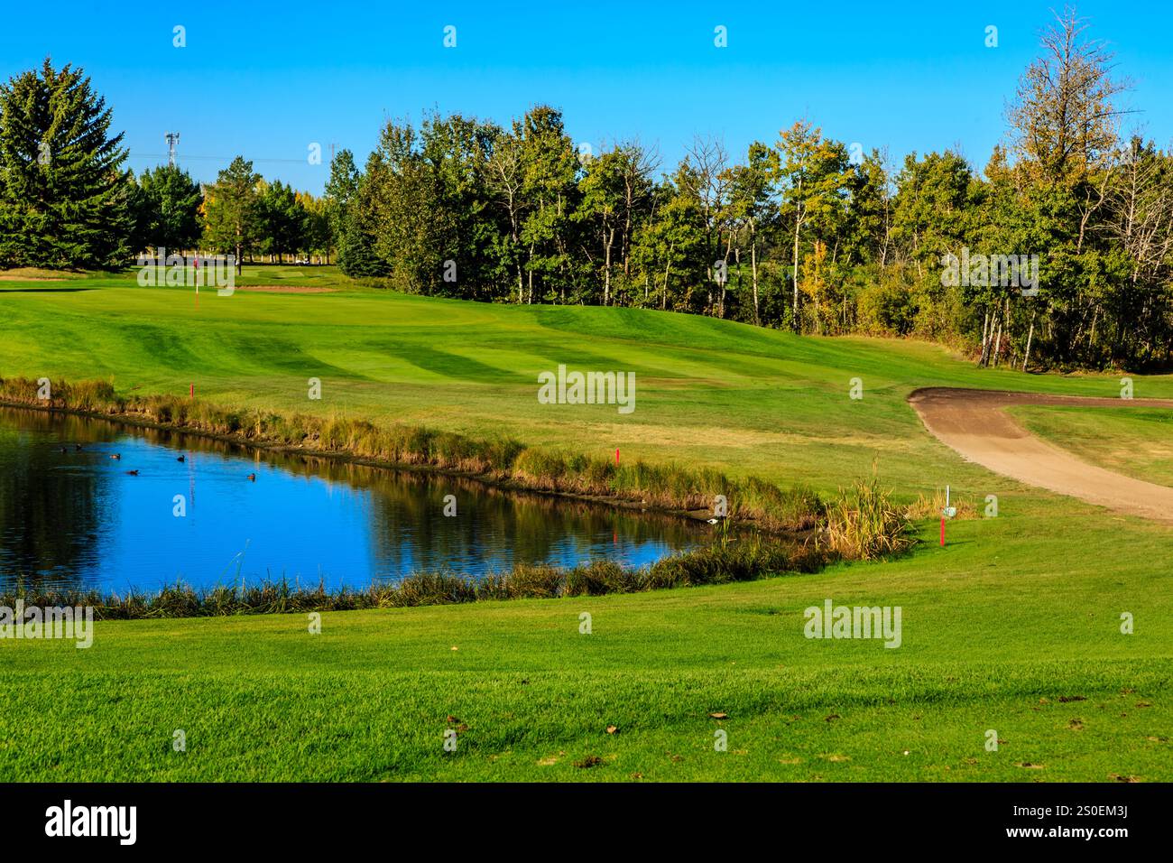 A golf course with a pond in the middle. The pond is surrounded by ...