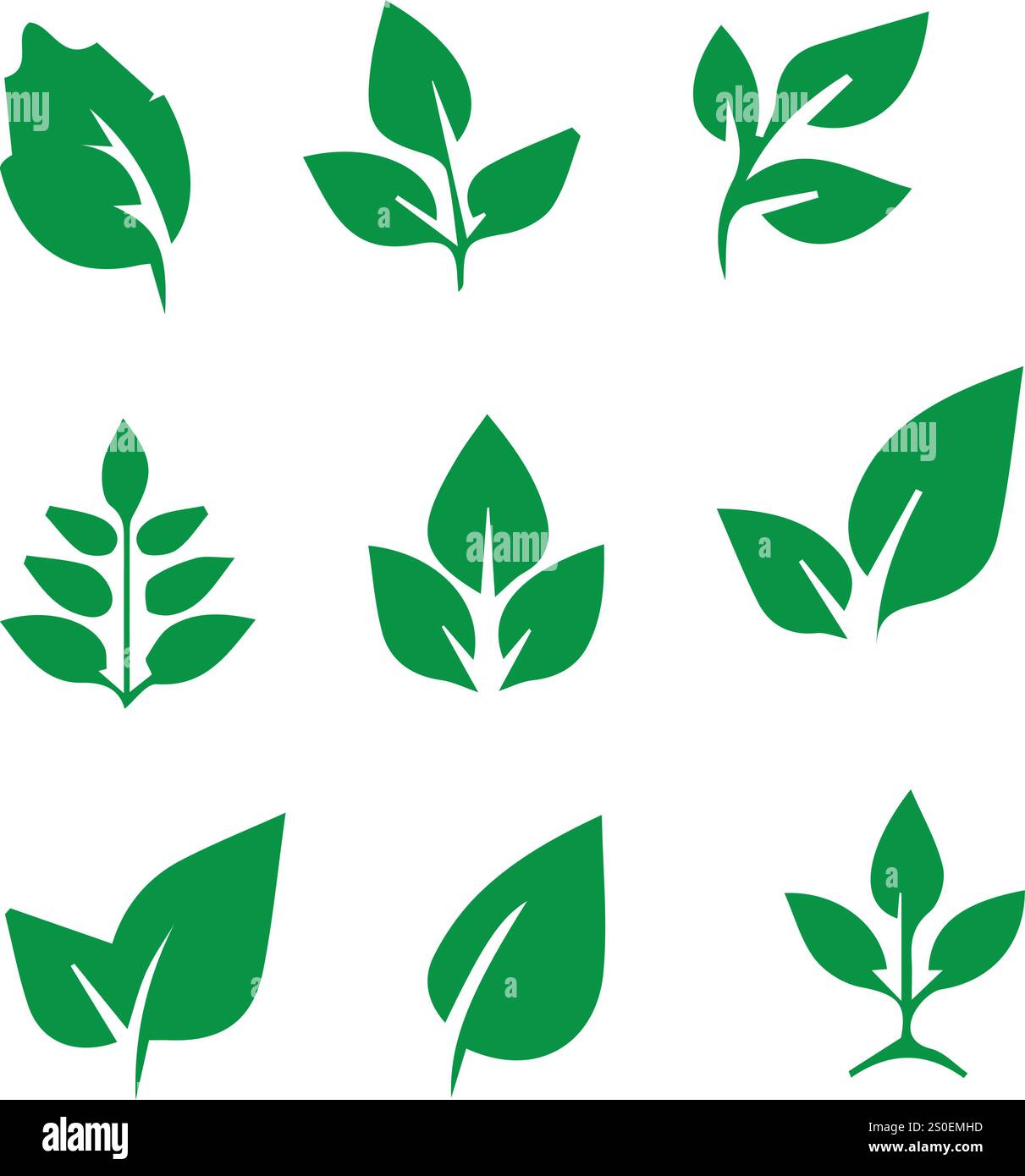 vector flower and leaf designs Stock Vector Image & Art - Alamy