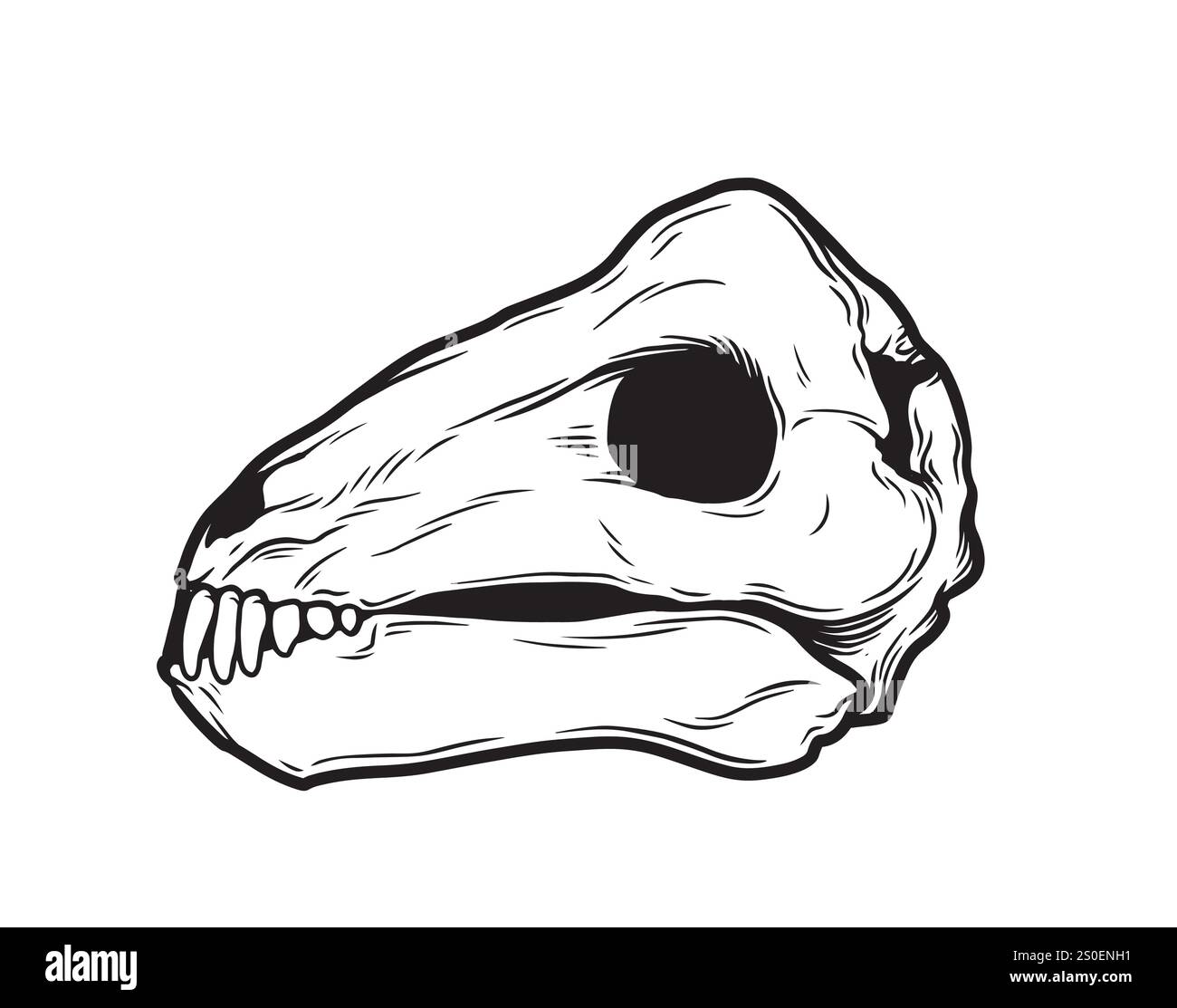 Dinosaur skull in dot work style, tattoo dino skull, vector prehistoric ...