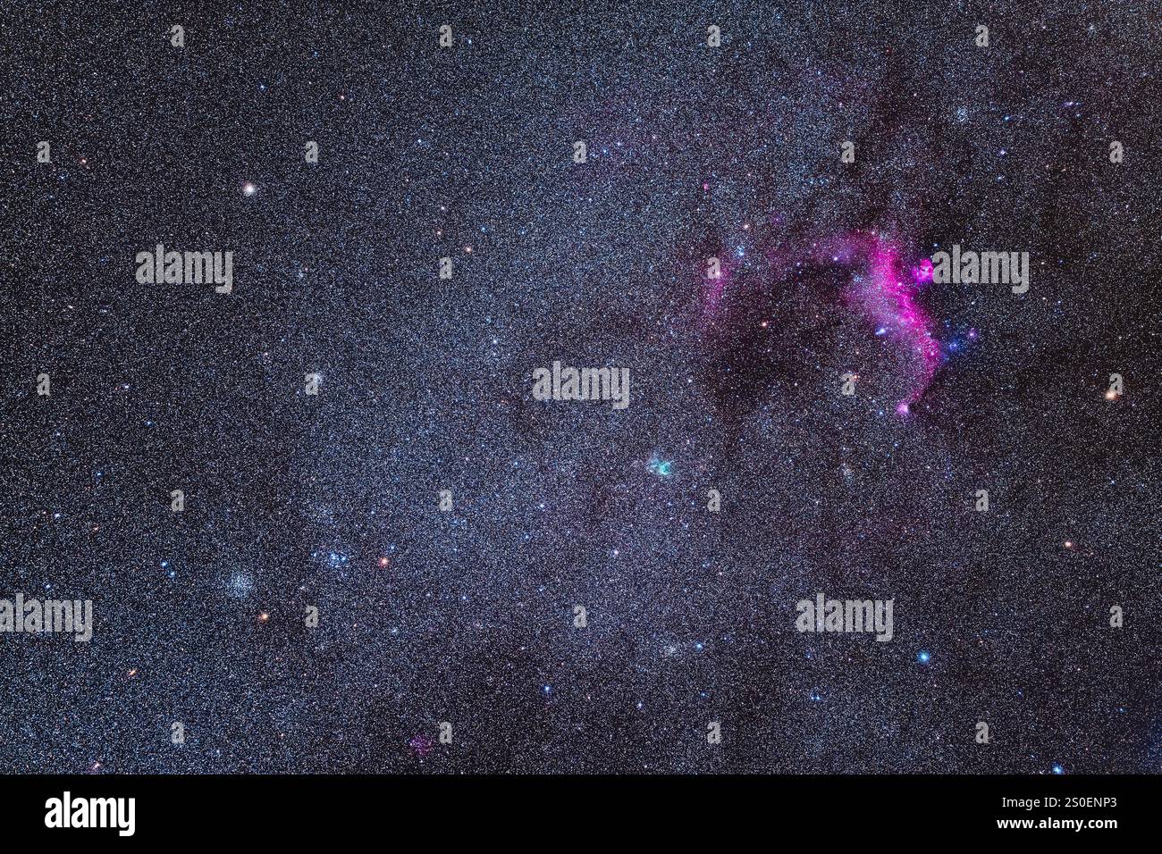 The Seagull Nebula and open star clusters in the Milky Way Stock Photo ...