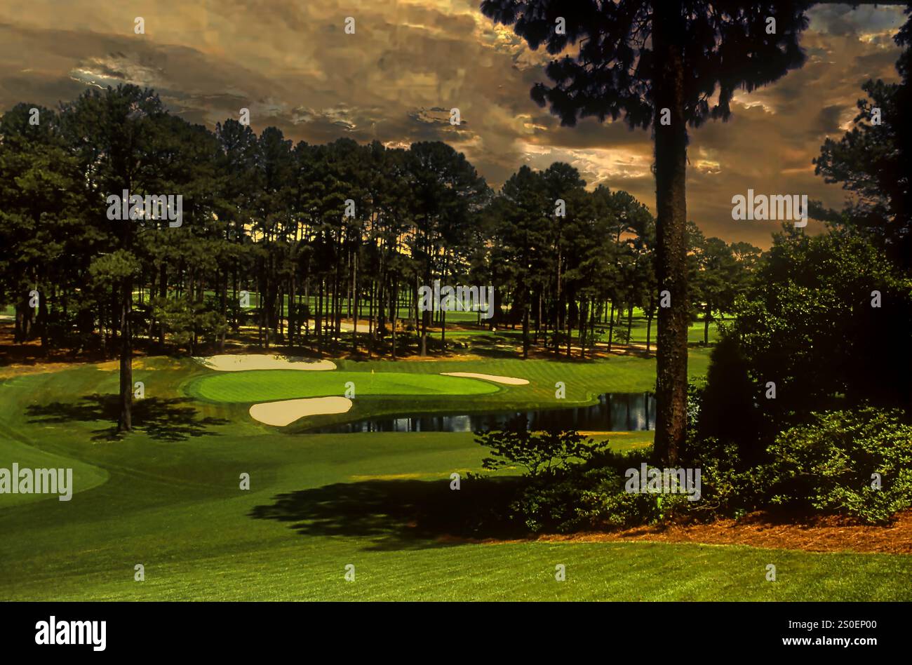 Augusta National Golf Club - Georgia, USA Here: side view of the 16th ...