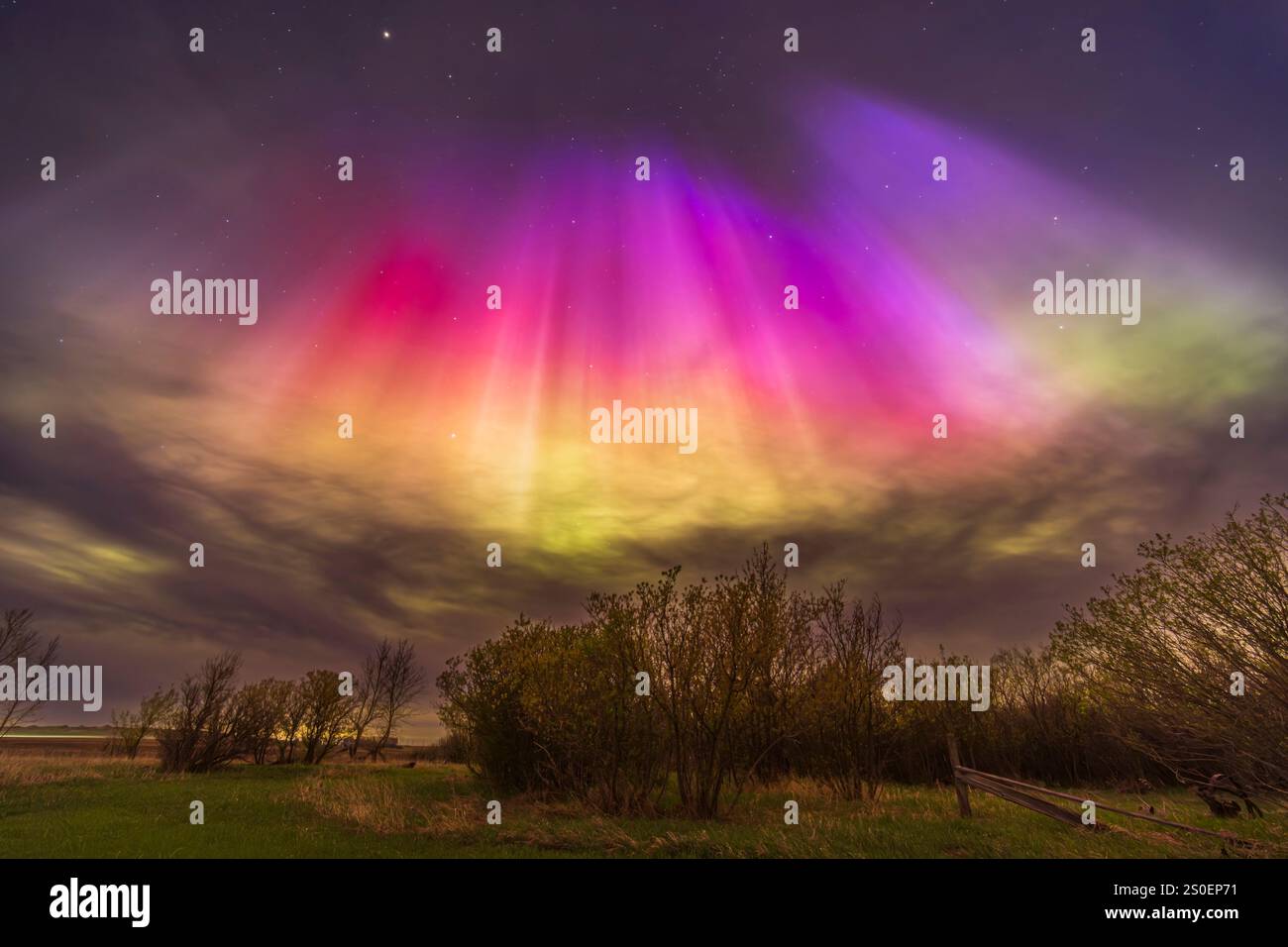 May 10, 2024 - A multi-colored curtain of aurora in southern Alberta ...