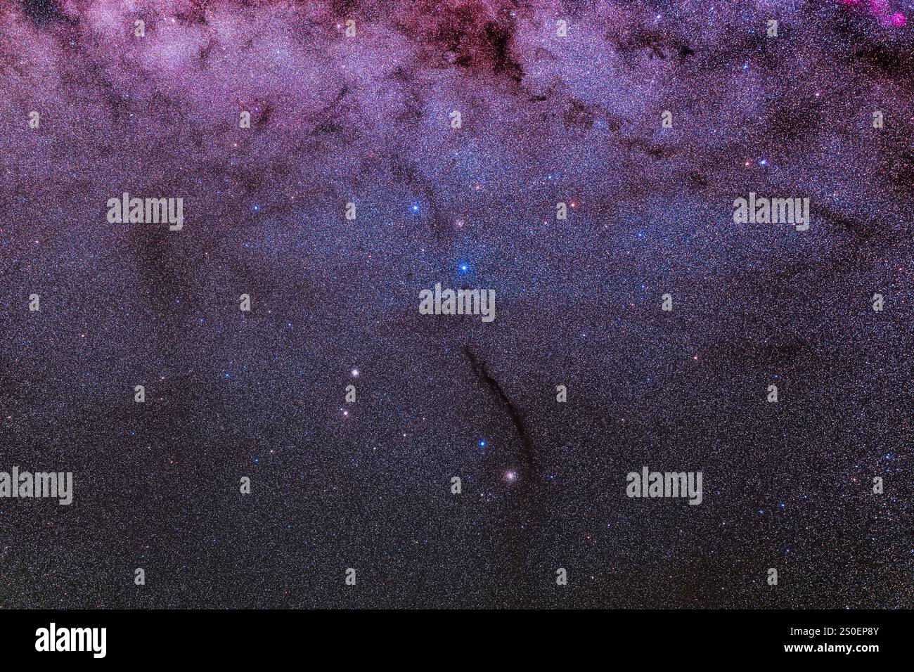 Small constellation of Musca the Fly below the Southern Cross Stock ...