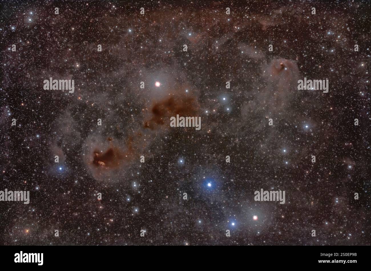 Dust clouds among the stars of the Hyades star cluster in Taurus. At lower left is the emission ...
