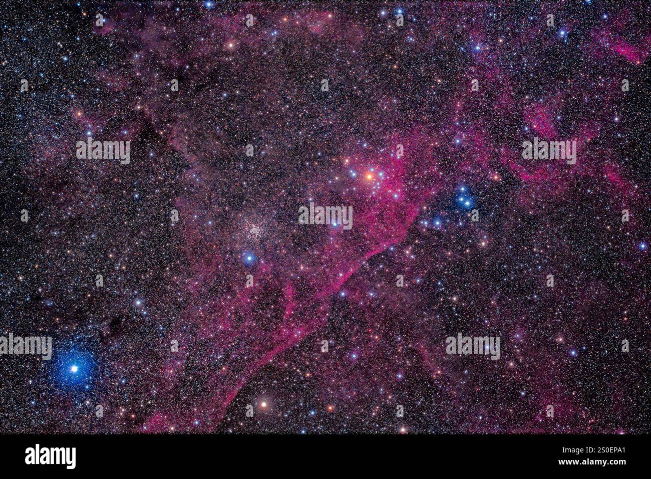 A pair of contrasting and superb star clusters in Puppis: rich NGC 2477 ...