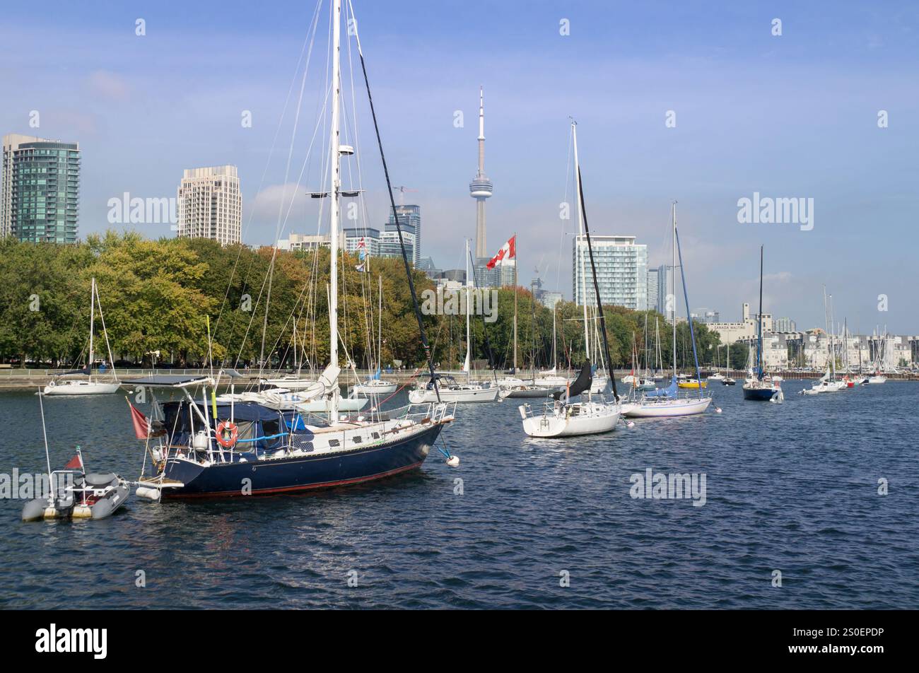 Yachts parked in Toronto waterfront marina in blue waters of lake ...