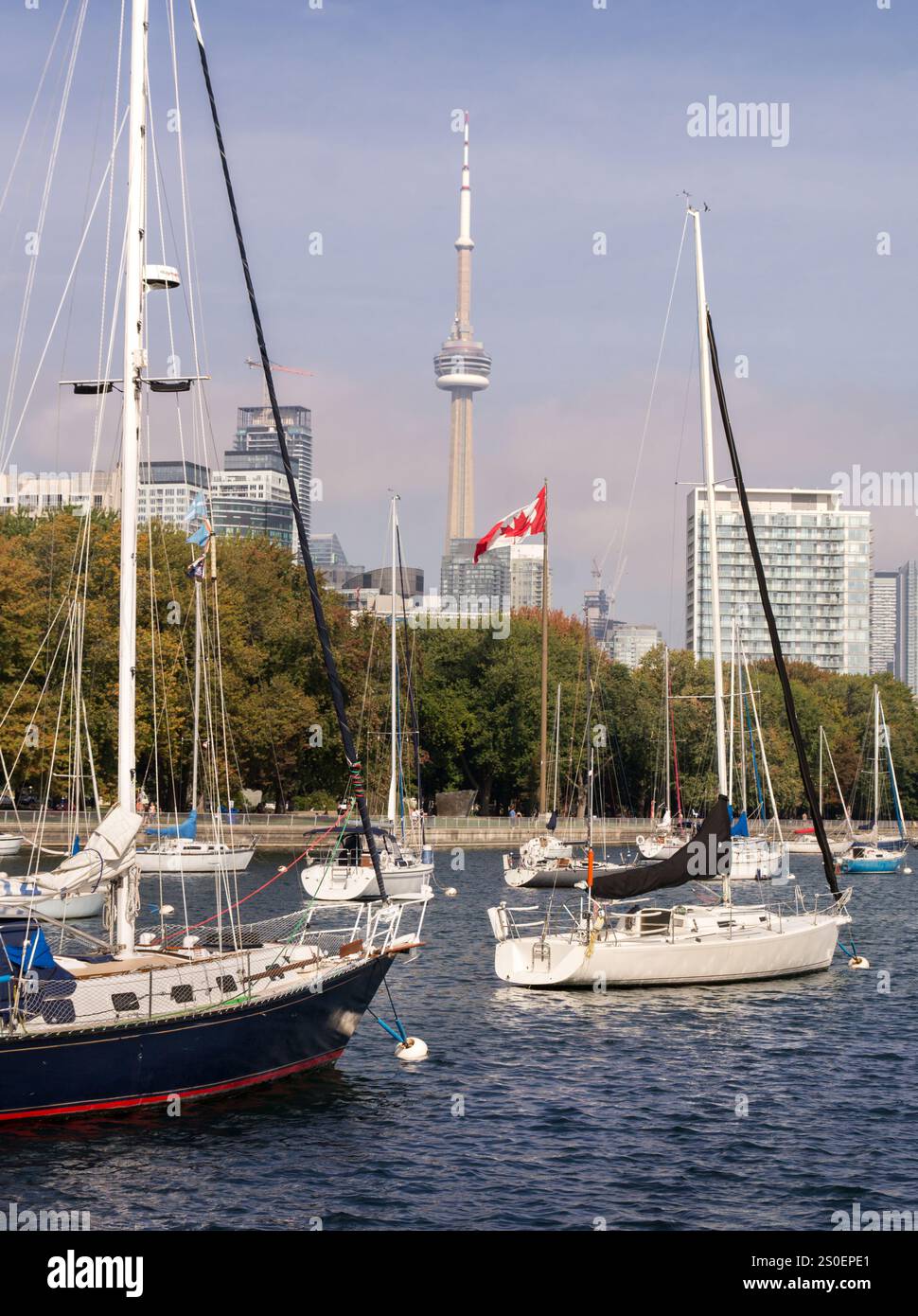 Yachts parked in Toronto waterfront marina in blue waters of lake ...