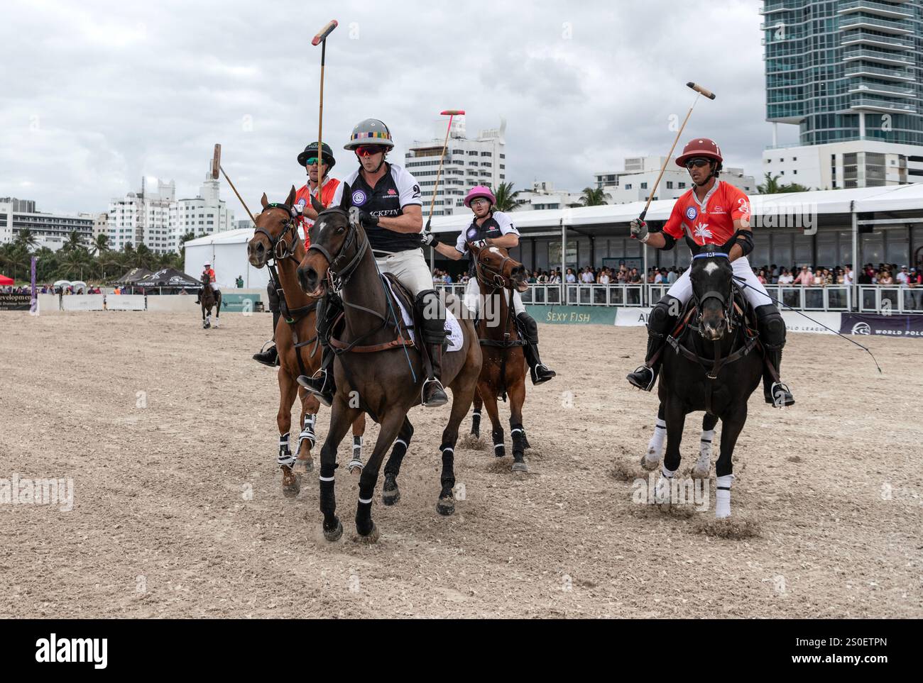 Miami Beach , USA-November 17. 2024: Polo players play at the World ...