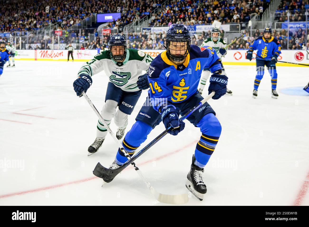 Toronto Sceptres' Renata Fast (14) and Boston Fleet's Theresa Schafzahl ...