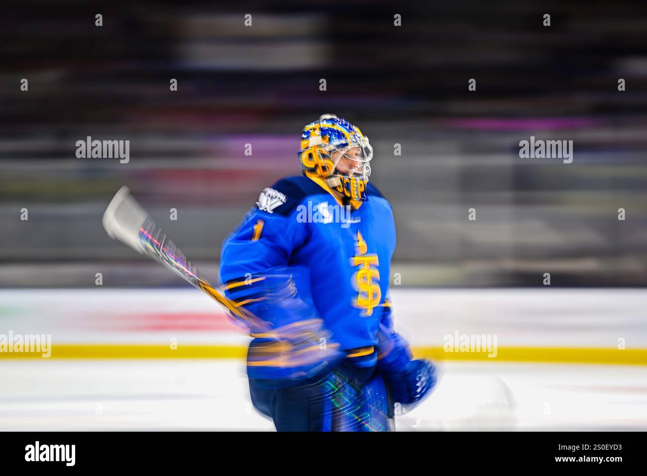 Toronto, Canada. 27th Dec, 2024. Toronto Sceptres goaltender Raygan ...