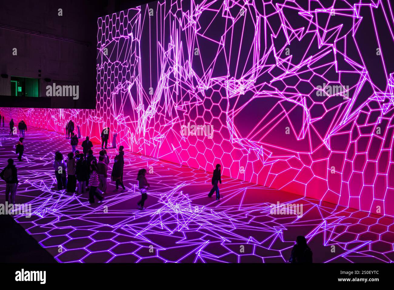 FRANCE. PARIS (75) (12TH DISTRICT) THE IMMERSIVE EXHIBITION "PIXELS ...