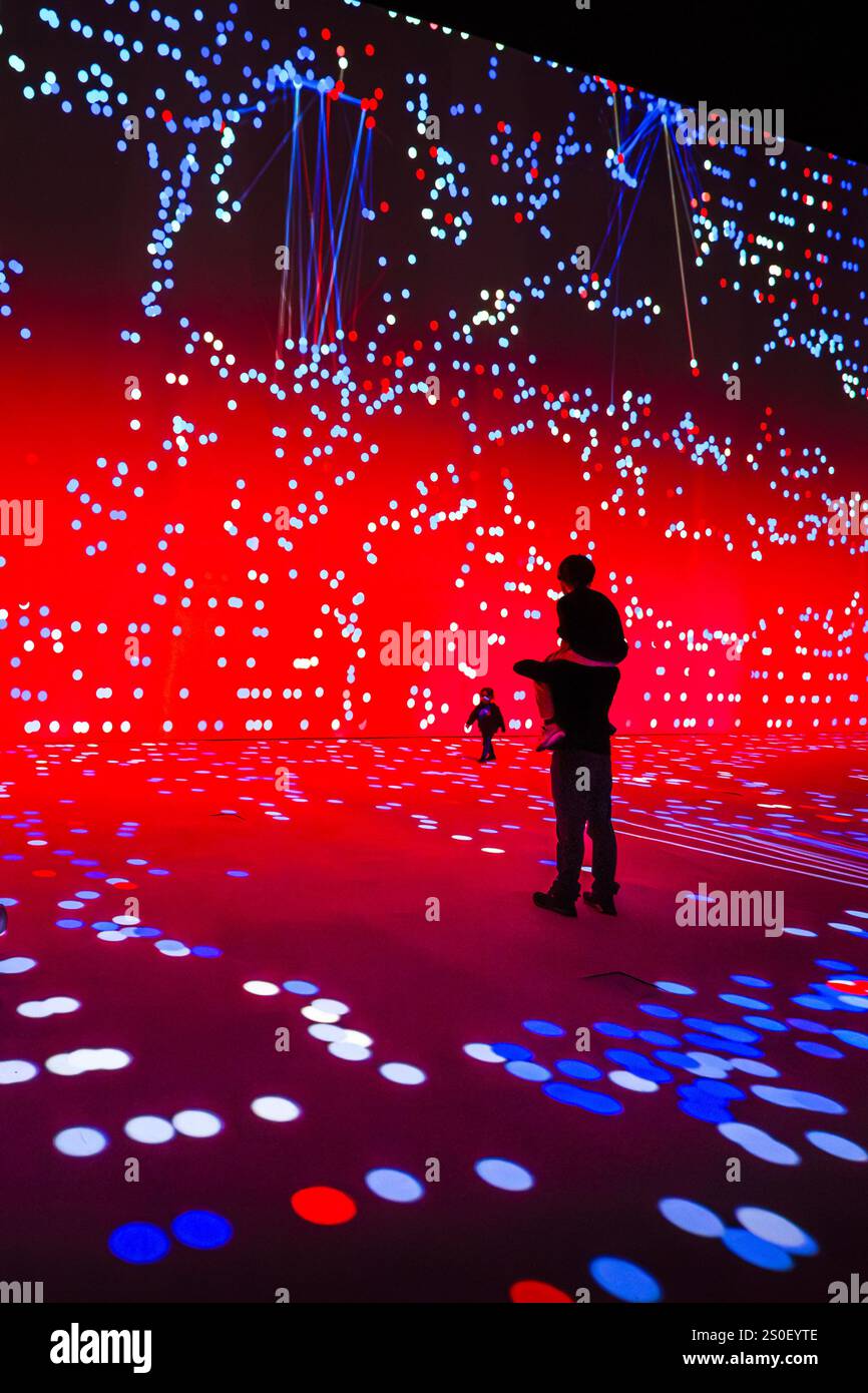 FRANCE. PARIS (75) (12TH DISTRICT) THE IMMERSIVE EXHIBITION "PIXELS ...