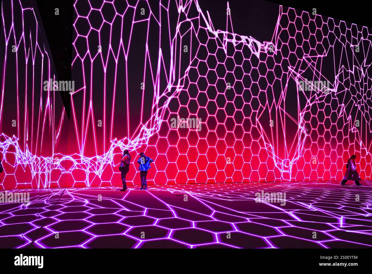 FRANCE. PARIS (75) (12TH DISTRICT) THE IMMERSIVE EXHIBITION "PIXELS ...