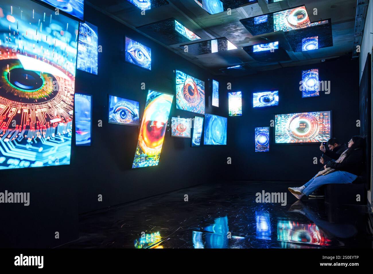 FRANCE. PARIS (75) (12TH DISTRICT) THE IMMERSIVE EXHIBITION "PIXELS ...