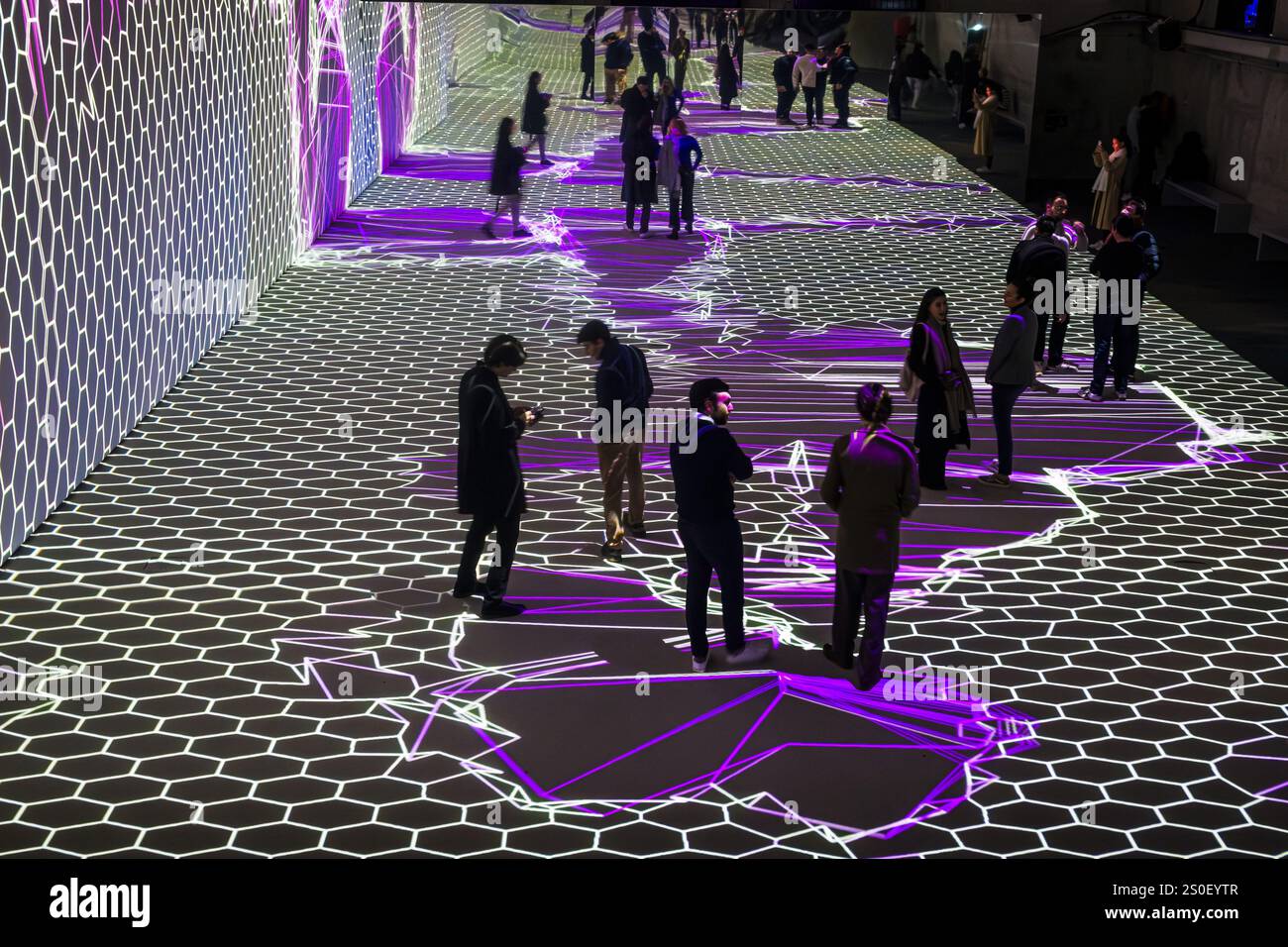 FRANCE. PARIS (75) (12TH DISTRICT) THE IMMERSIVE EXHIBITION "PIXELS ...