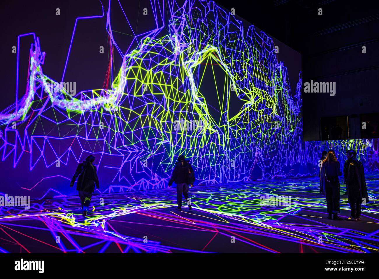 FRANCE. PARIS (75) (12TH DISTRICT) THE IMMERSIVE EXHIBITION "PIXELS ...