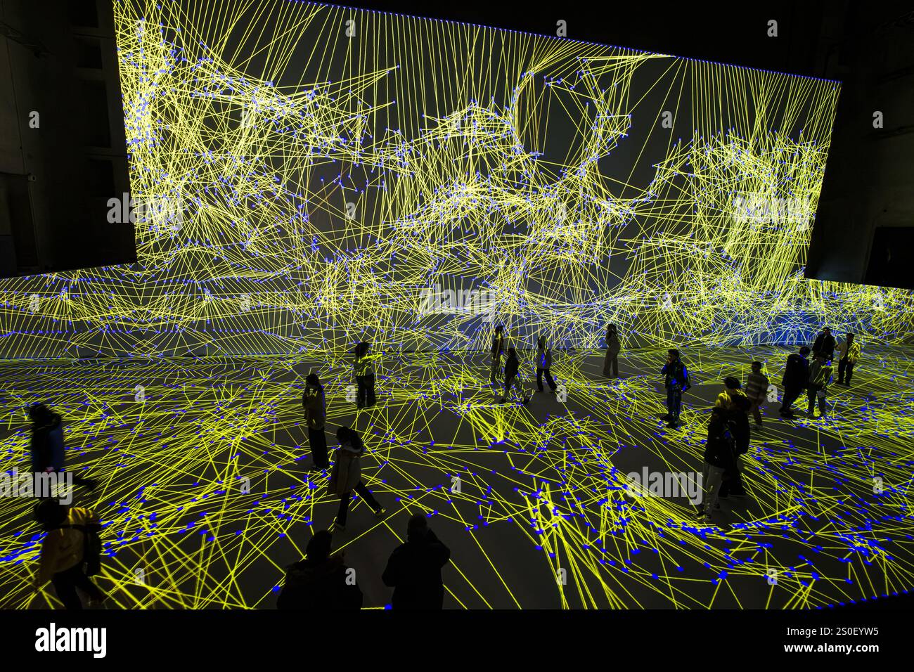 FRANCE. PARIS (75) (12TH DISTRICT) THE IMMERSIVE EXHIBITION "PIXELS ...