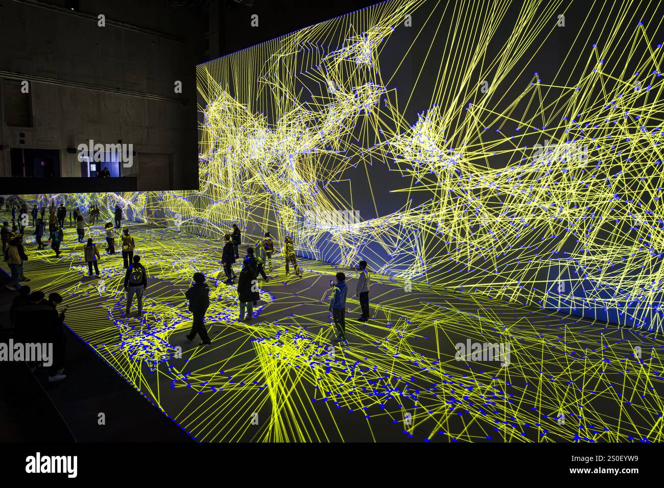 FRANCE. PARIS (75) (12TH DISTRICT) THE IMMERSIVE EXHIBITION "PIXELS ...