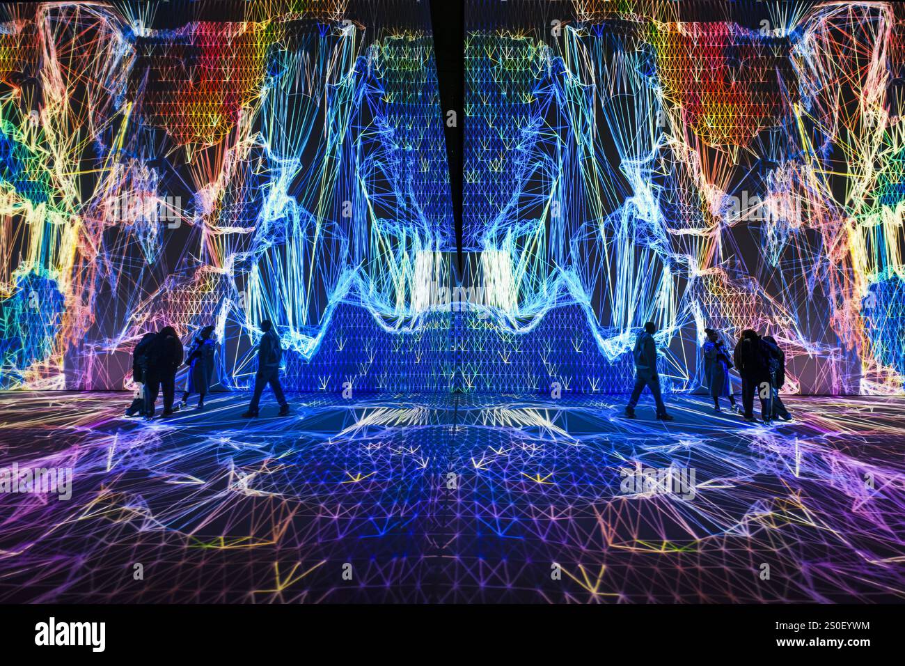 FRANCE. PARIS (75) (12TH DISTRICT) THE IMMERSIVE EXHIBITION "PIXELS ...