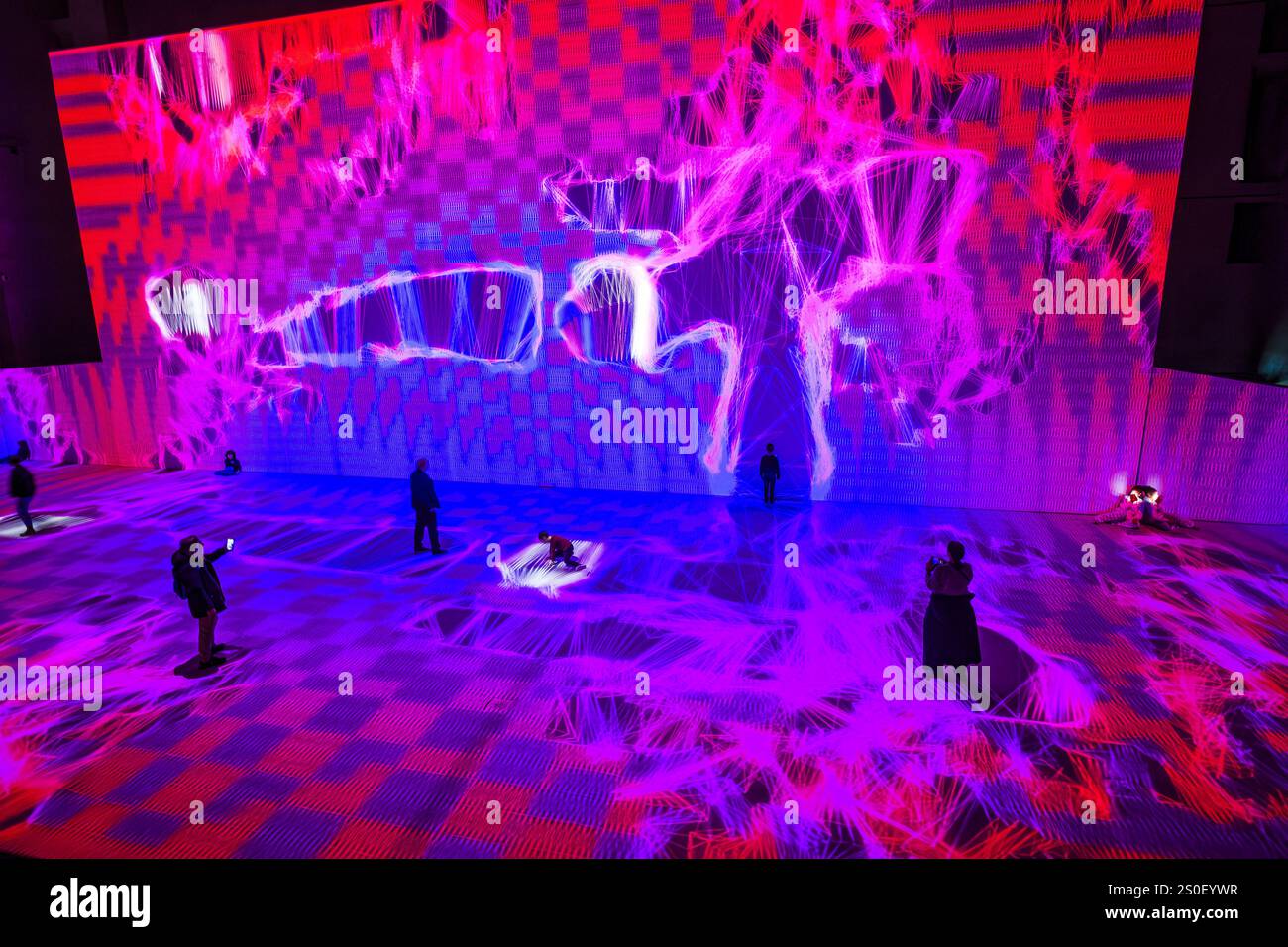 FRANCE. PARIS (75) (12TH DISTRICT) THE IMMERSIVE EXHIBITION "PIXELS ...