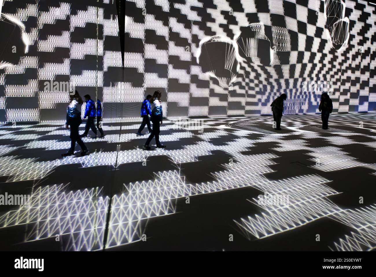 FRANCE. PARIS (75) (12TH DISTRICT) THE IMMERSIVE EXHIBITION "PIXELS ...
