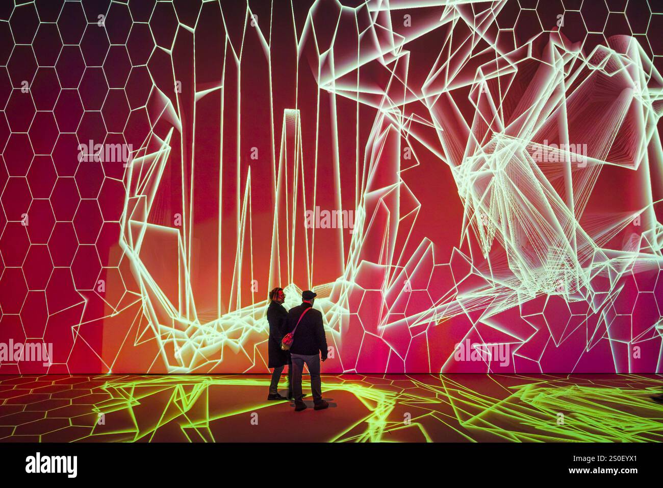 FRANCE. PARIS (75) (12TH DISTRICT) THE IMMERSIVE EXHIBITION "PIXELS ...