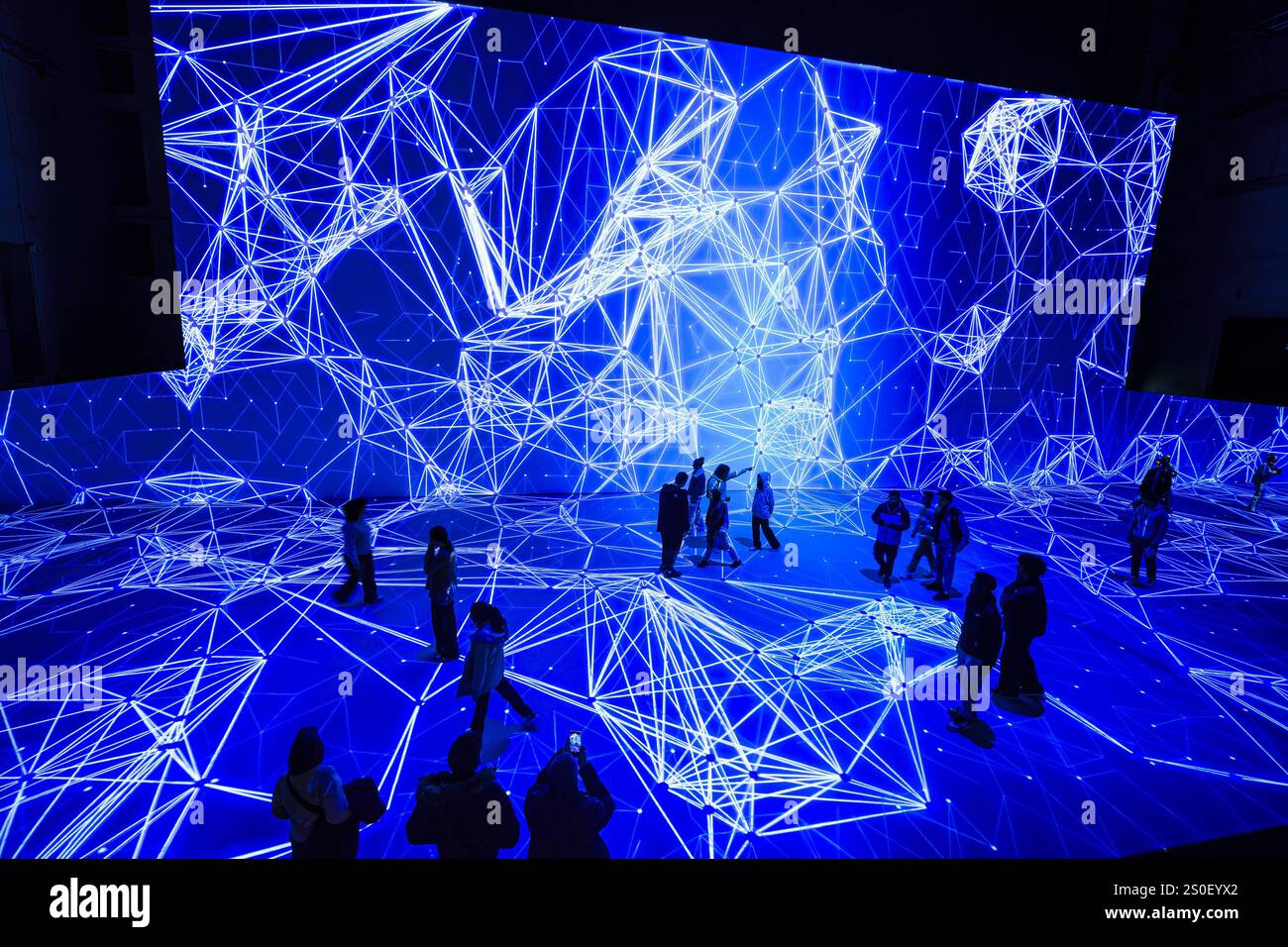 FRANCE. PARIS (75) (12TH DISTRICT) THE IMMERSIVE EXHIBITION "PIXELS ...