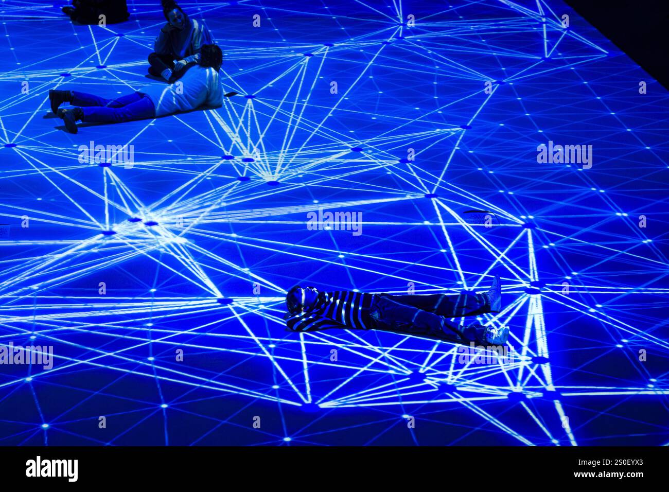 FRANCE. PARIS (75) (12TH DISTRICT) THE IMMERSIVE EXHIBITION "PIXELS ...