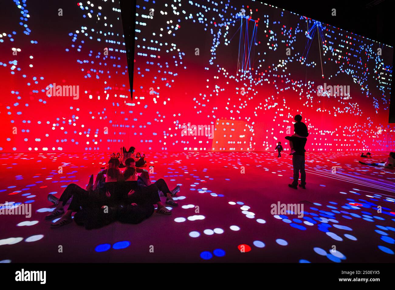 FRANCE. PARIS (75) (12TH DISTRICT) THE IMMERSIVE EXHIBITION "PIXELS ...