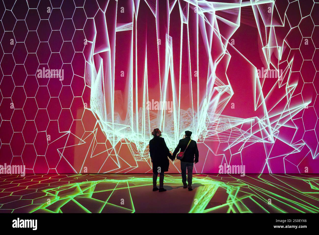 FRANCE. PARIS (75) (12TH DISTRICT) THE IMMERSIVE EXHIBITION "PIXELS ...