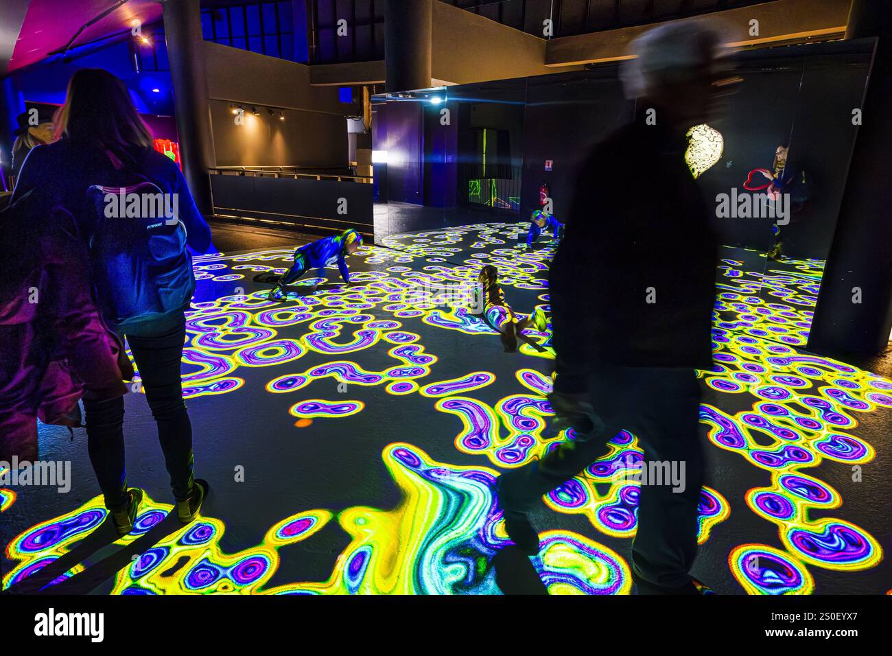 FRANCE. PARIS (75) (12TH DISTRICT) THE IMMERSIVE EXHIBITION "PIXELS ...