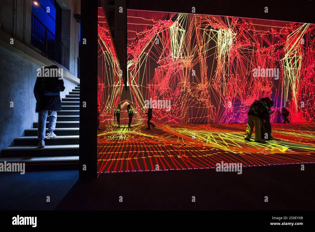 FRANCE. PARIS (75) (12TH DISTRICT) THE IMMERSIVE EXHIBITION "PIXELS ...