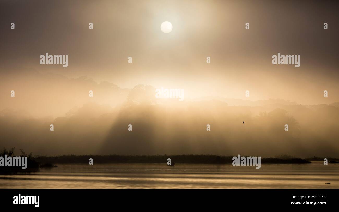 Panoramic view of damp rainforest at sunrise on the east side of Rio ...
