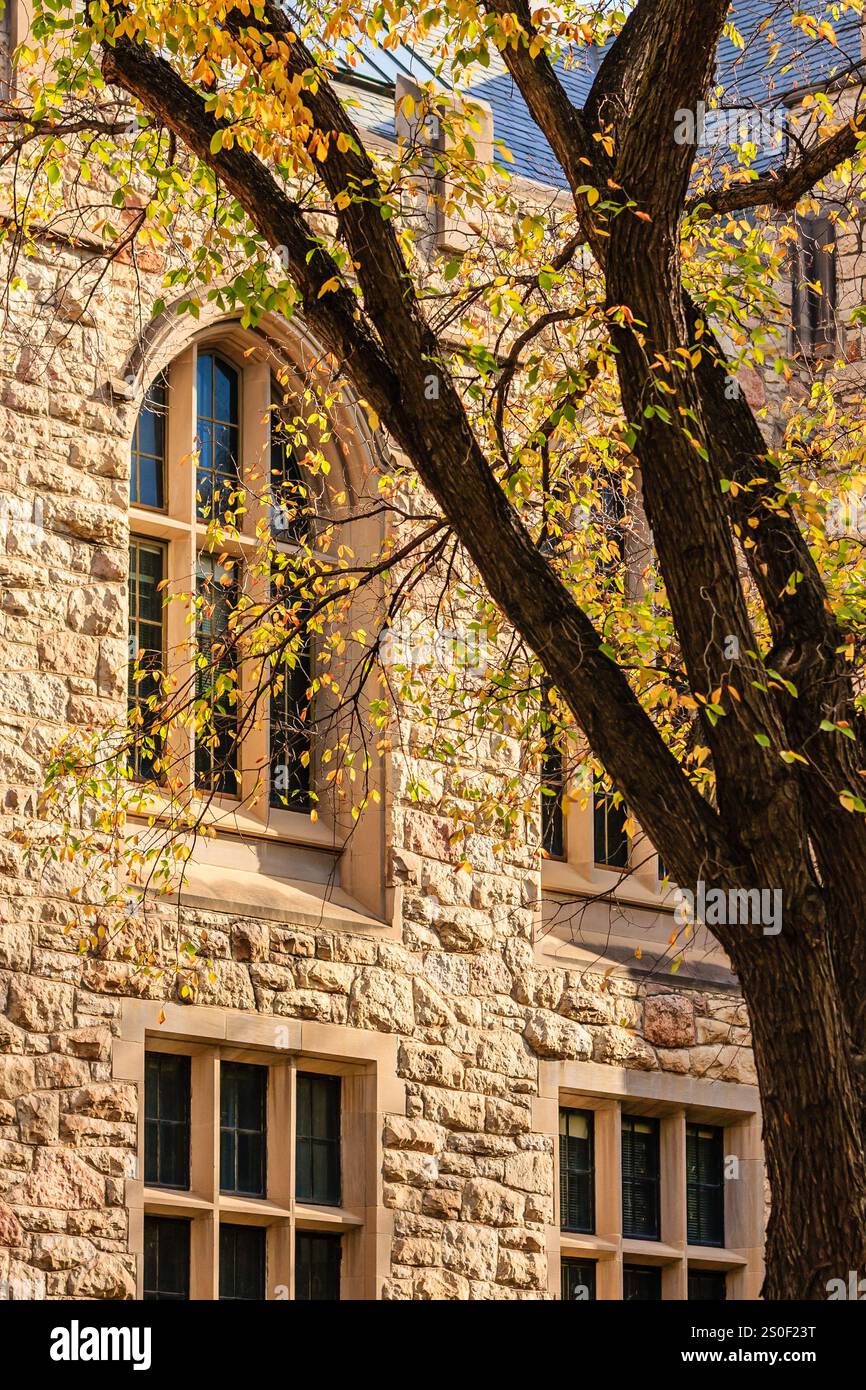 A brick building with a tree in front of it. The building has a lot of ...