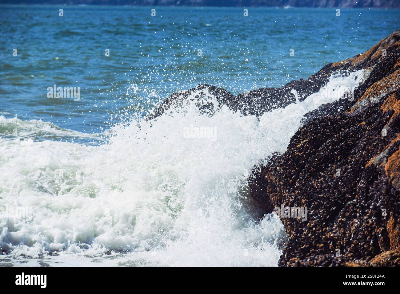 Ocean waves water crashing on hi-res stock photography and images - Alamy