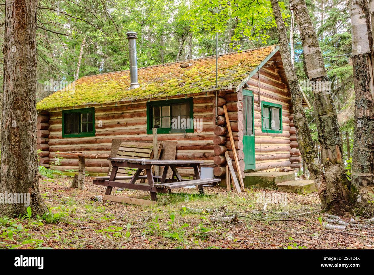 A rustic log cabin with a green roof sits in a lush, wooded area. The cabin has a green door and ...