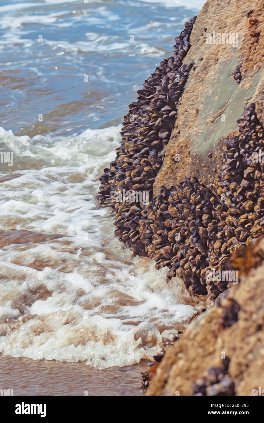 Ocean waves on rock shore hi-res stock photography and images - Alamy