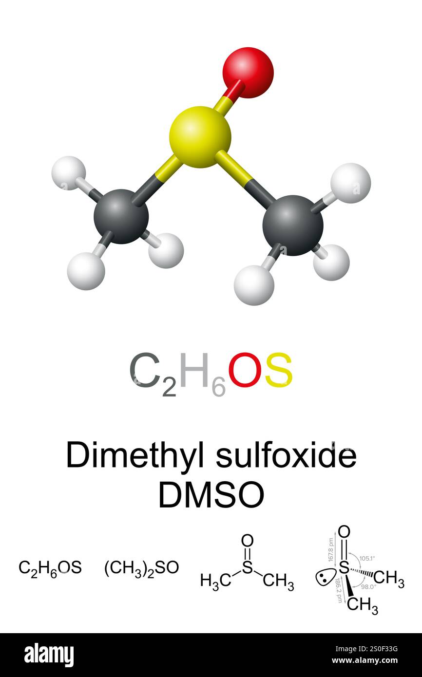 Dimethyl sulfoxide, DMSO, ball-and-stick molecule model and chemical ...