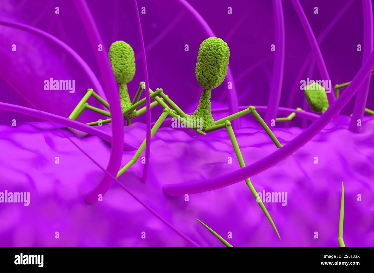 Bacteriophage viruses attack bacteria - closeup view 3d illustration ...