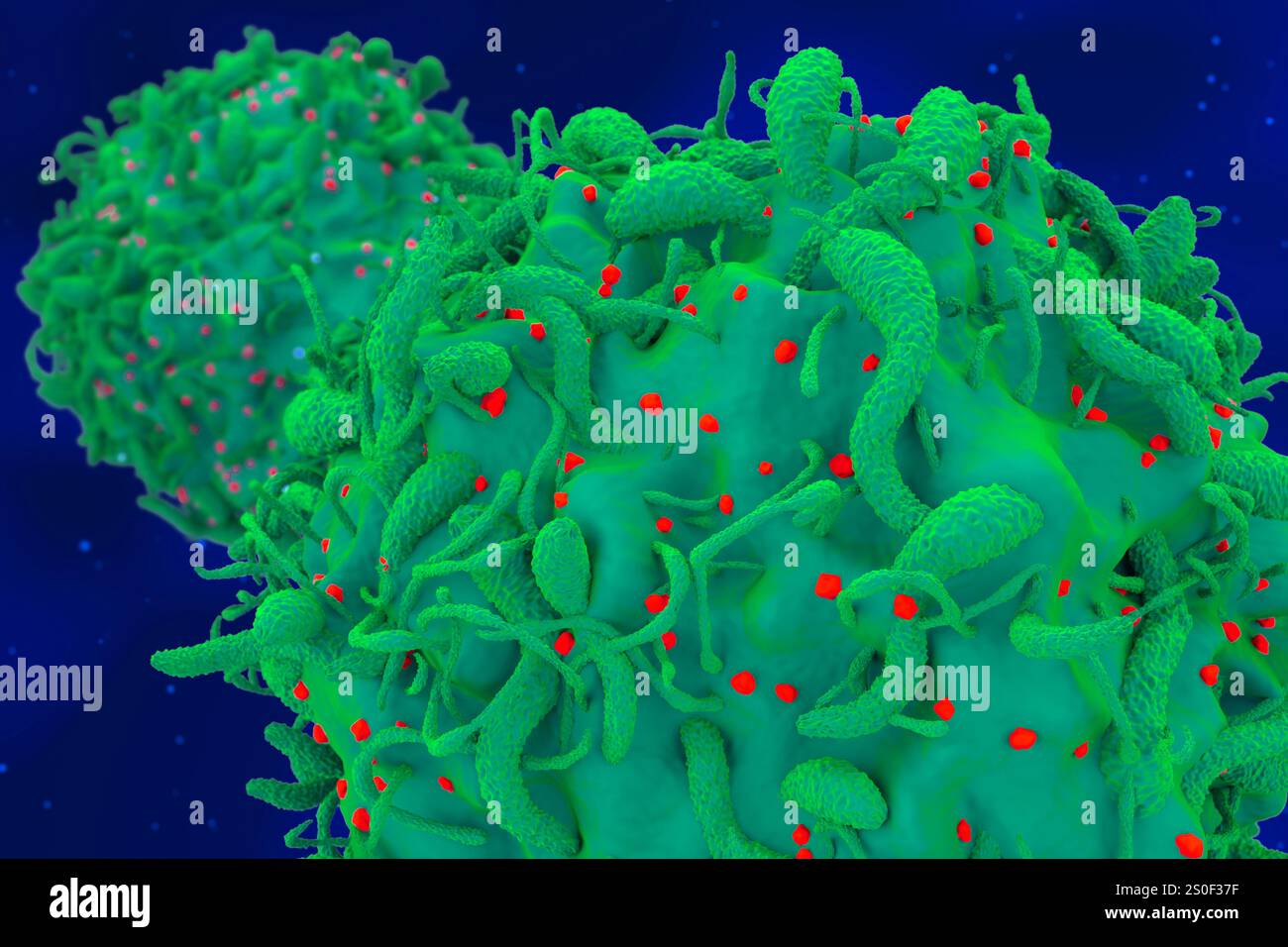 Hiv virus infected t-cell - closeup view 3d illustration Stock Photo ...