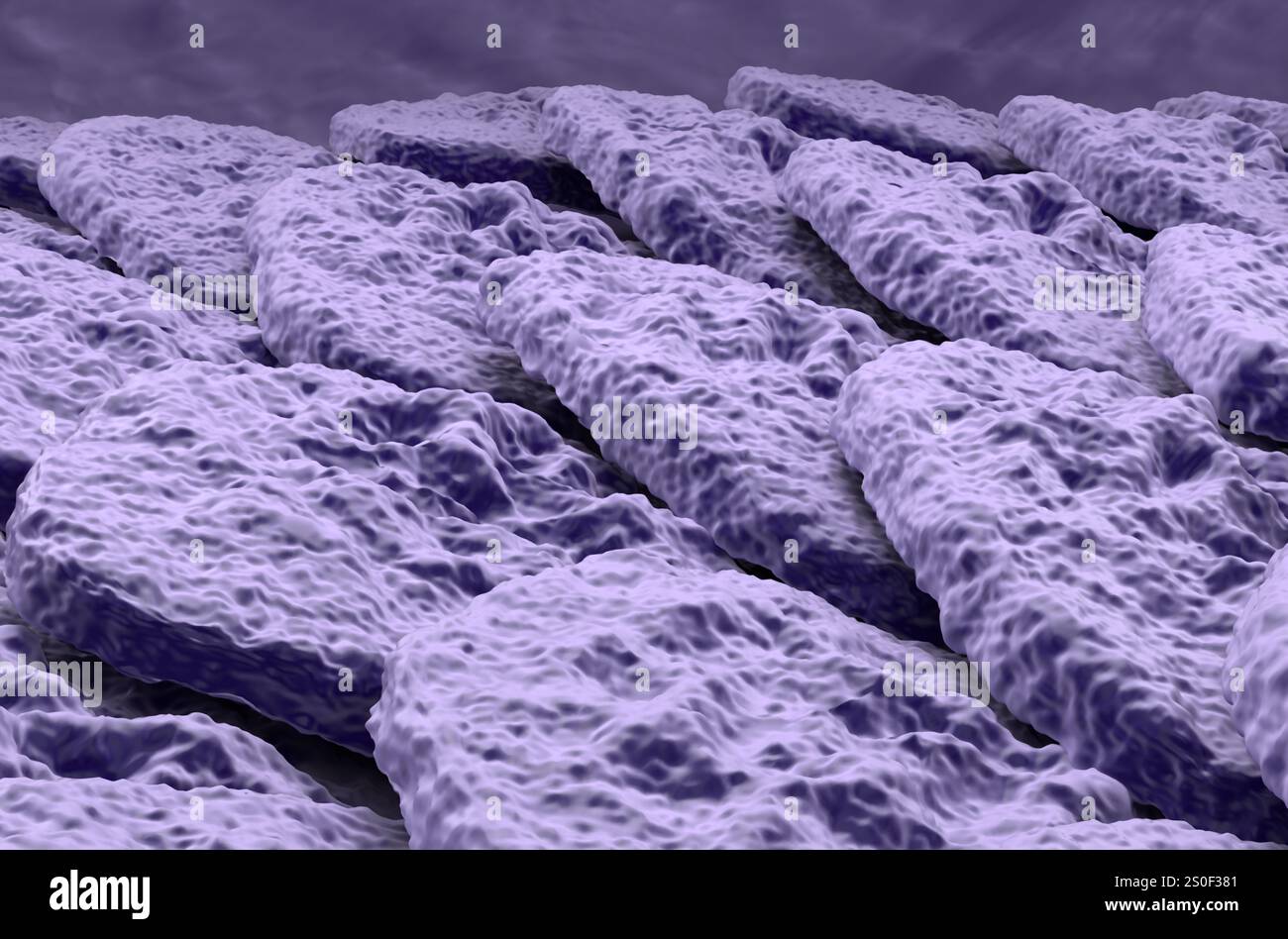 Healthy human skin (Epidermis) surface - closeup view 3d illustration ...
