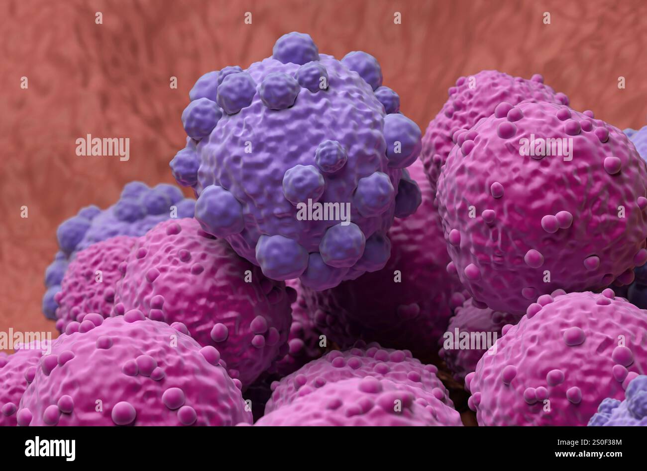 Lymphoma cells - closeup view 3d illustration Stock Photo - Alamy