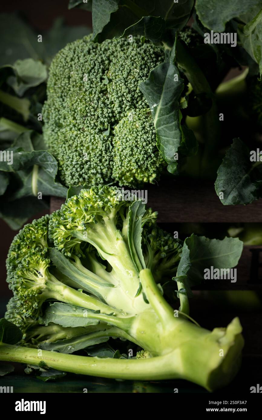 Fresh raw broccoli in the field. Healthy vegetable ingredients ...