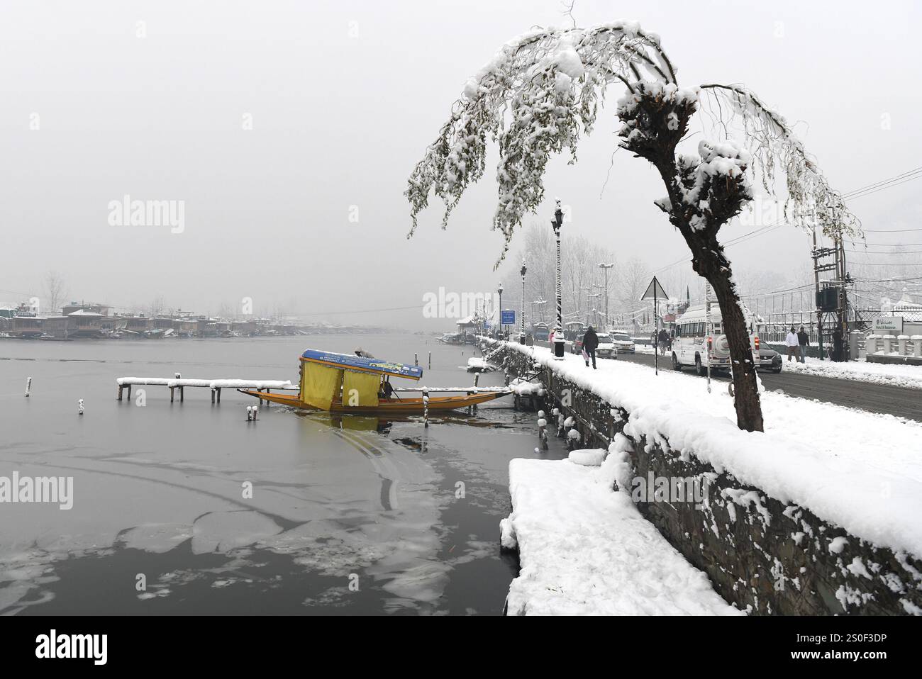 Srinagar, Jammu And Kashmir, India. 28th Dec, 2024. A view of dal lake ...