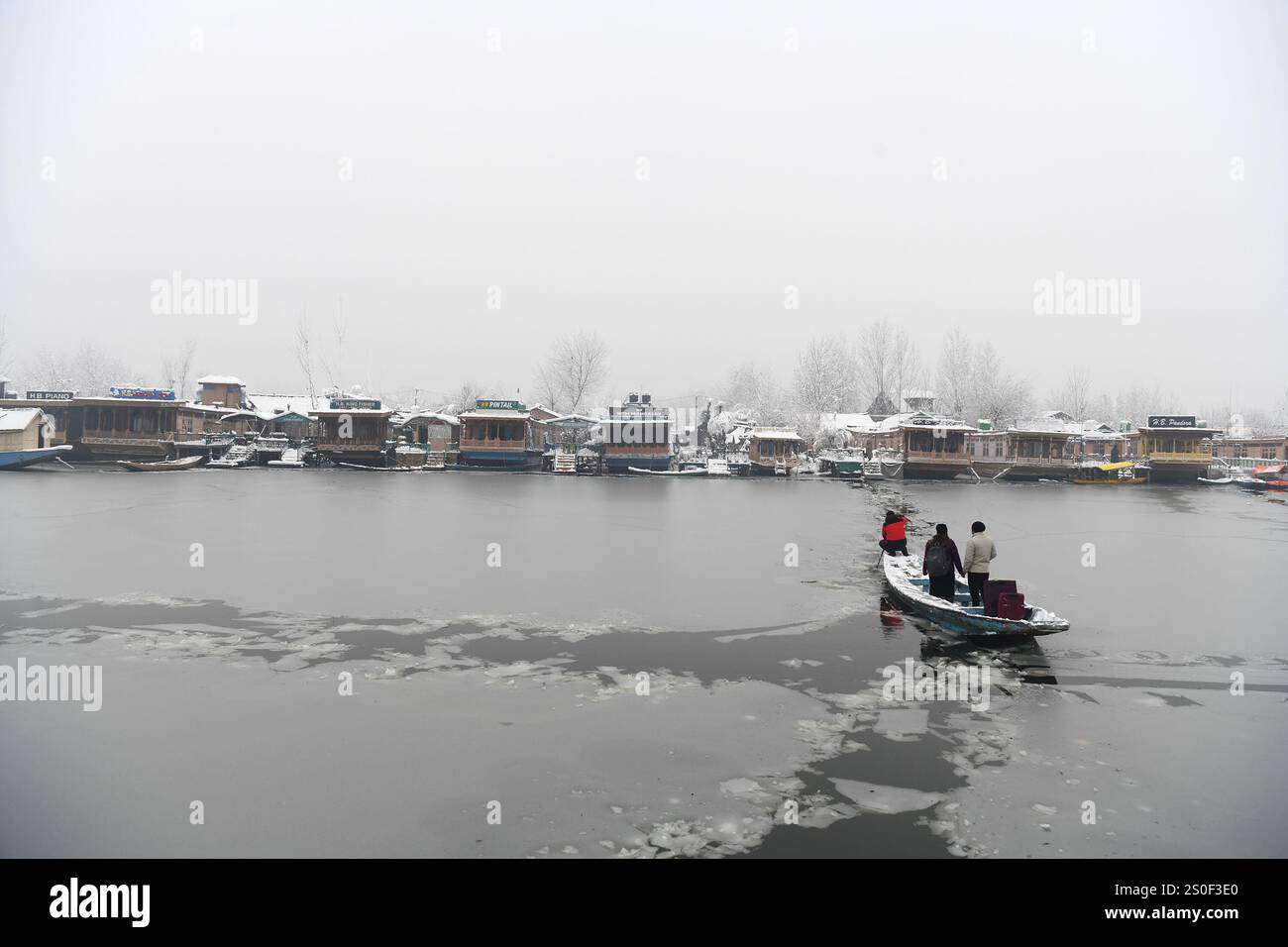 Srinagar, Jammu And Kashmir, India. 28th Dec, 2024. A boatman rows a ...