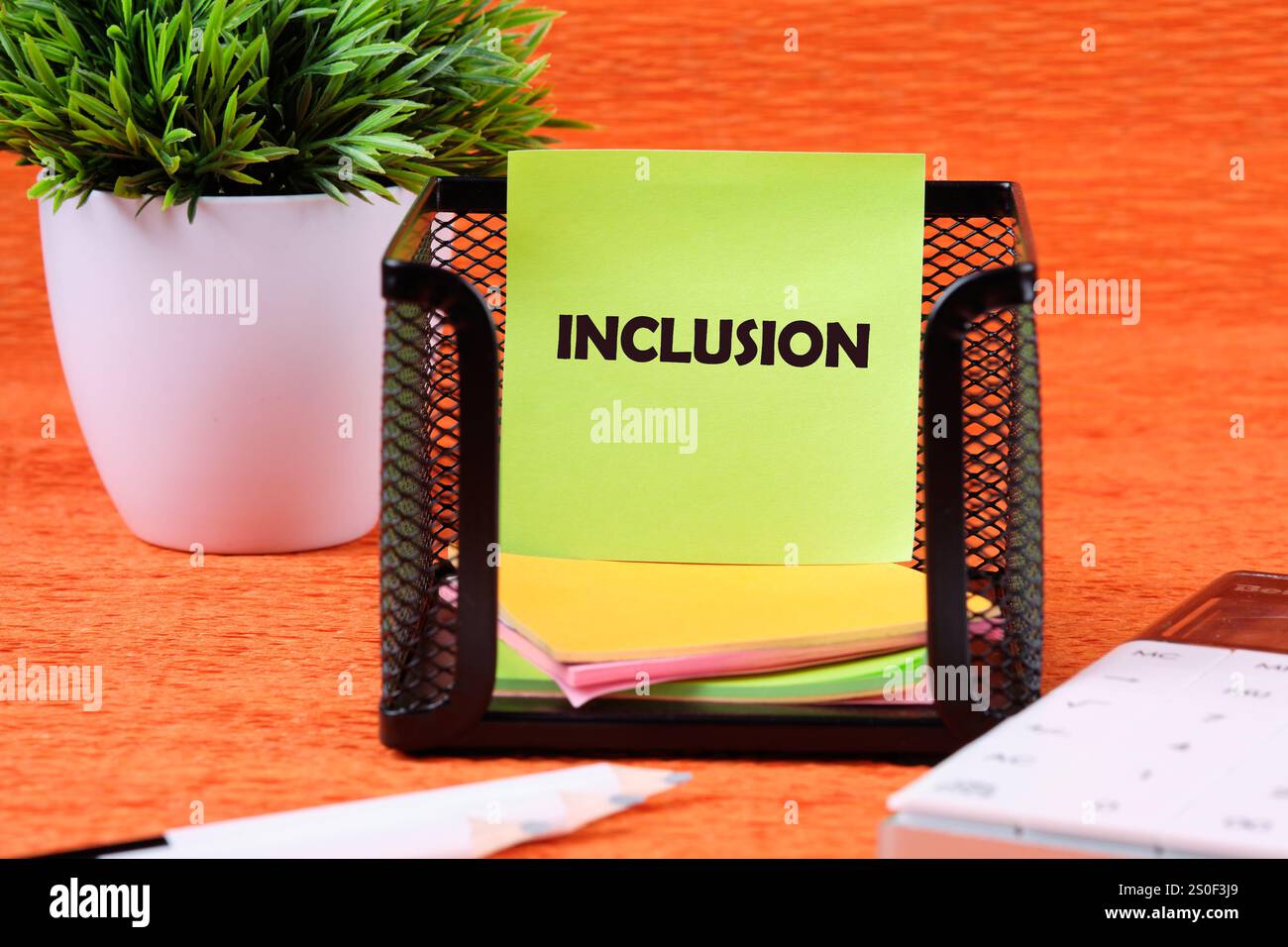 Diversity, business, inclusion and belonging concept. INCLUSION text ...